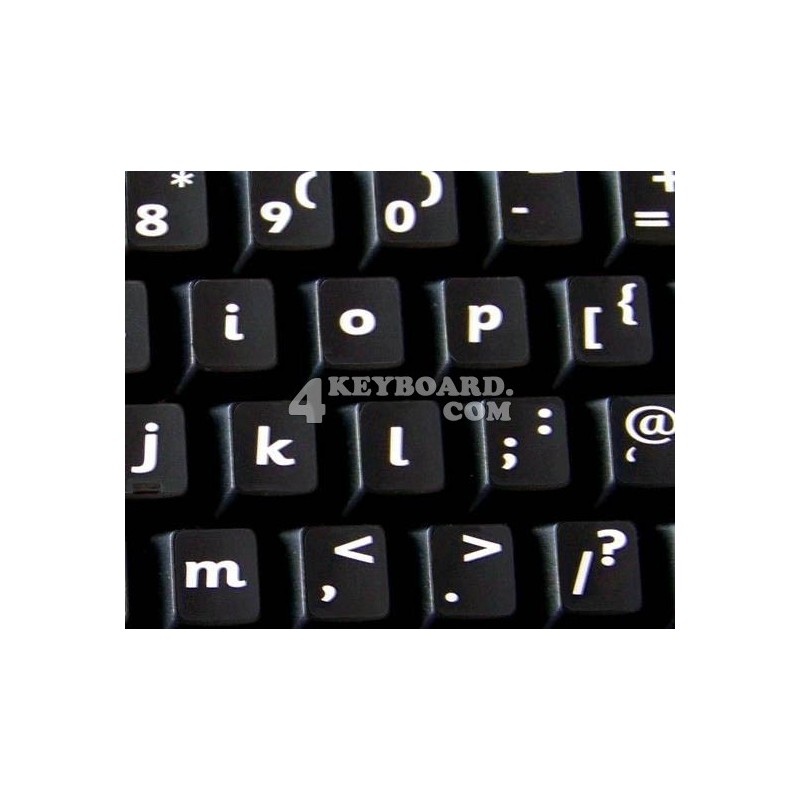 Eng UK Sassoon non tran PC