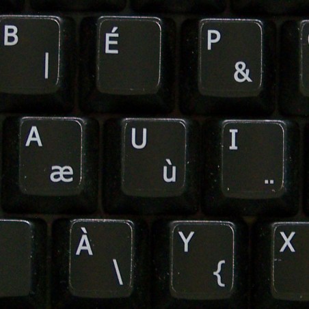 French Bepo non tran PC