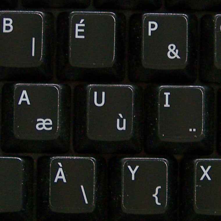 French Bepo non tran PC