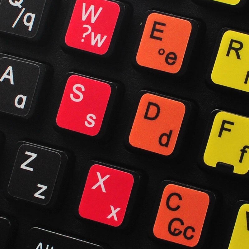 Learn Port Br Color non tran PC