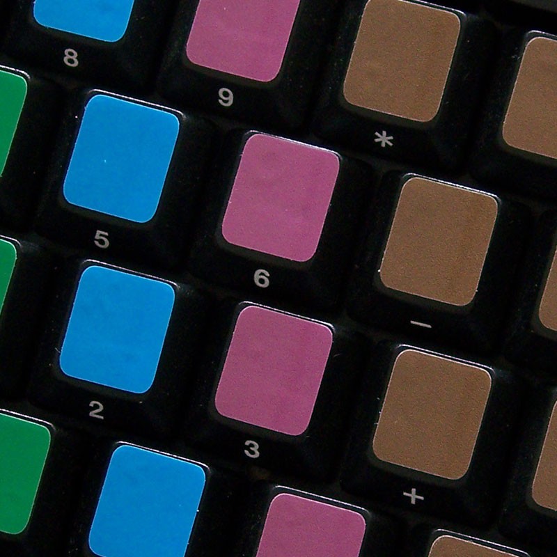 Learn Blank Color non tran PC