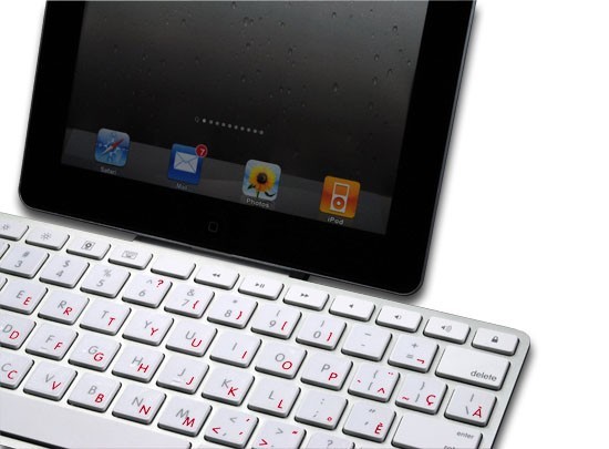 French Canadian transp Apple