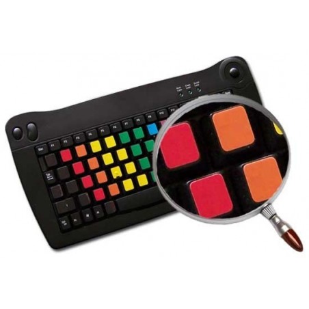Learn Blank Color non tran PC
