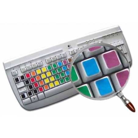 Learn Blank Color non tran PC