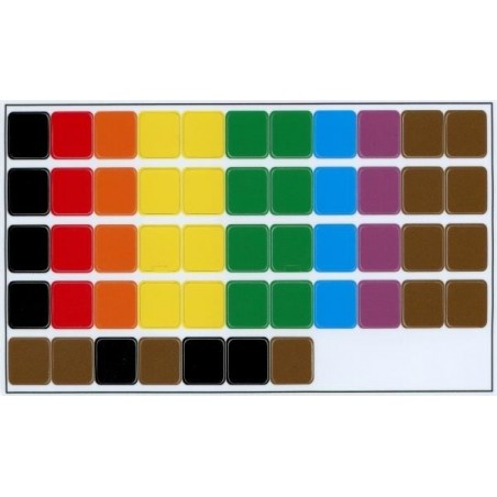 Learn Blank Color non tran PC