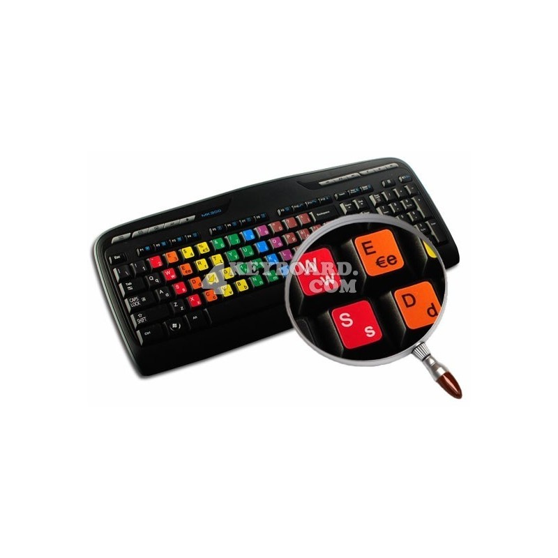 Learn Italian Color non tran PC