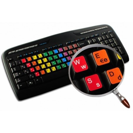 Learn Italian Color non tran PC