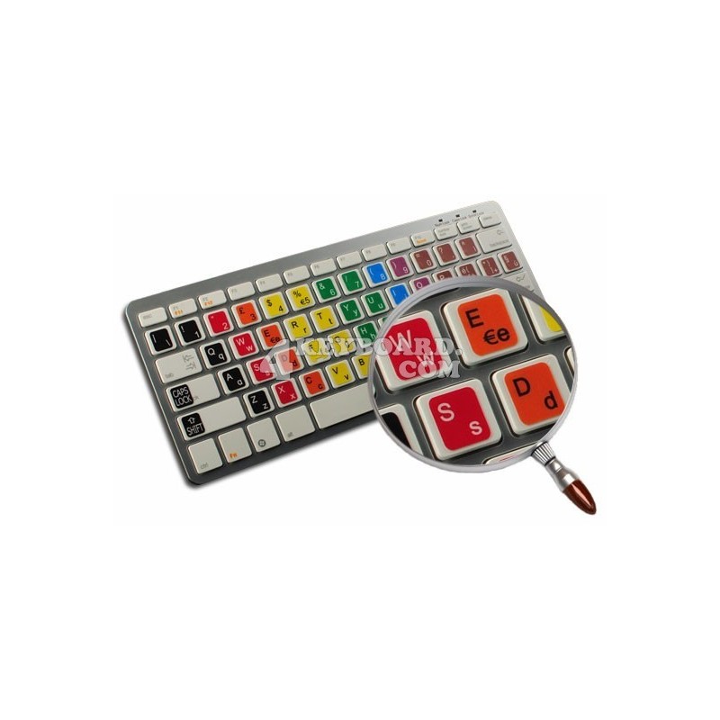 Learn Italian Color non tran PC