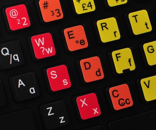 Learn Port Br Color non tran PC