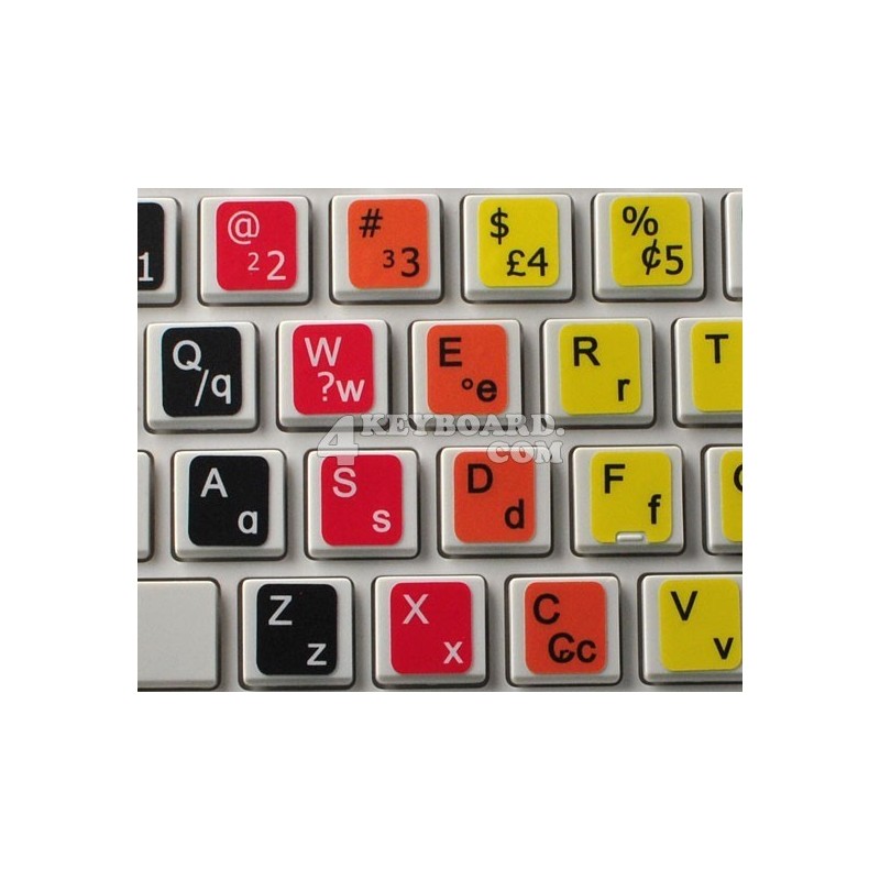 Learn Port Br Color non tran PC