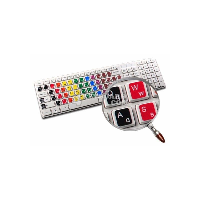 Learn Swed Color non tran PC