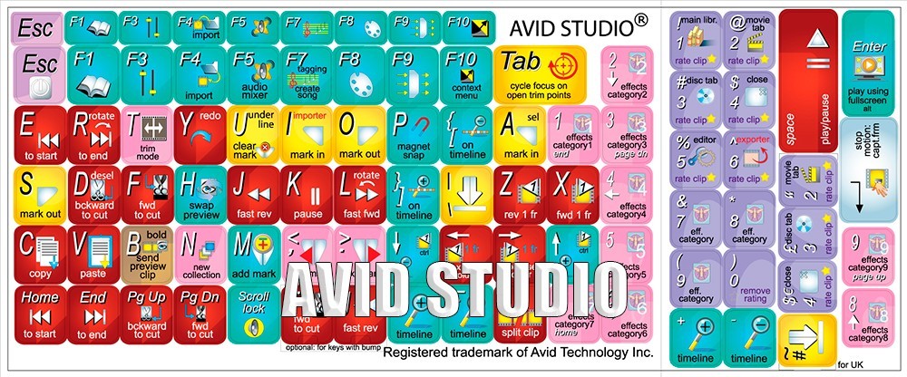 Avid Studio