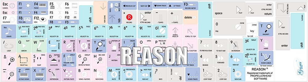 REASON Galaxy